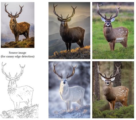 【论文阅读】controlnet金屋文档