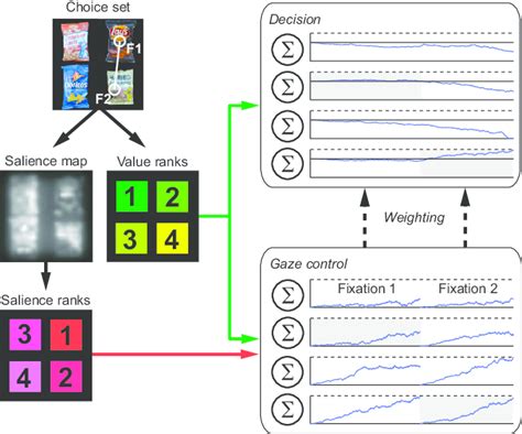 Dual Sequential Sampling Model Of Decision Making The Visual