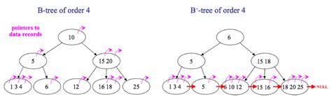 Binary Tree Vs Binary Search Tree Vs B Tree Vs B Tree Unicminds
