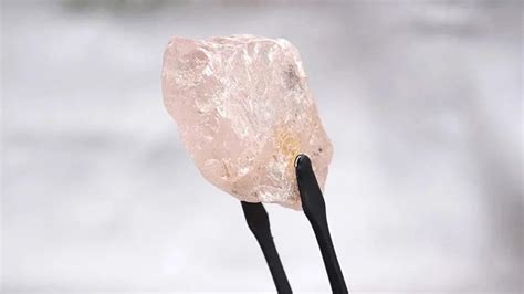 El Diamante Rosa Más Grande Encontrado En Los últimos 300 Años