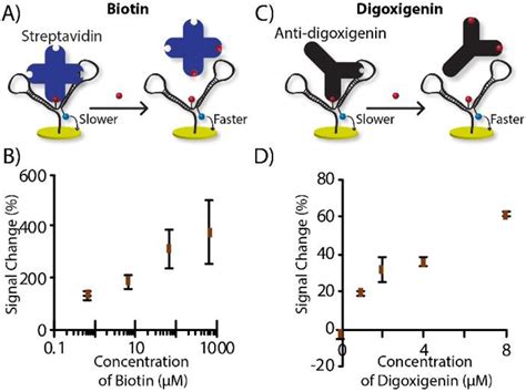 Figure 4 From A Nucleic Acid Nanostructure Built Through On Electrode Ligation For