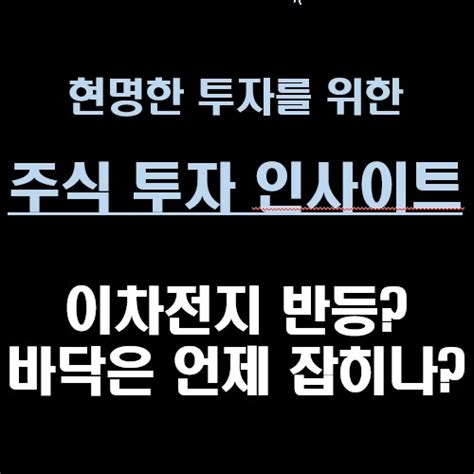 주식 투자 인사이트 이차전지 전망 바닥 언제 잡히나