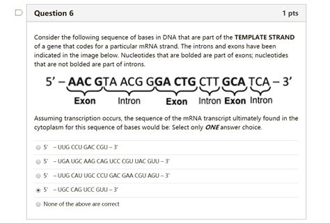 Question 6 Pts Consider The Following Sequence Of Bases In Dna That Are Part Of The Template
