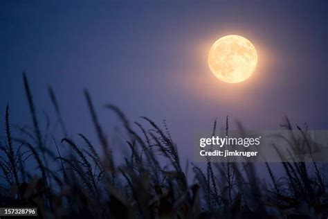 Harvest Moon October Wallpaper