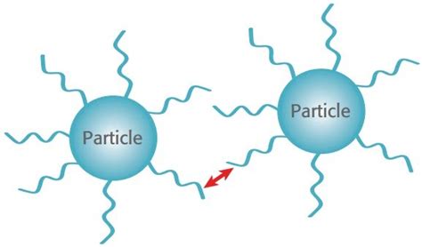 Polyhydroxystearic Acid