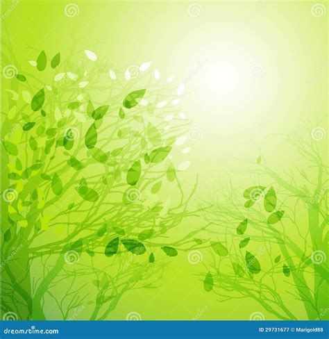 Abstract Spring Tree Background Stock Vector Illustration Of Environmental Forest 29731677
