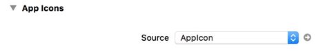 Macos Xcode Cocoa App Bad Bundle Executable Stack Overflow