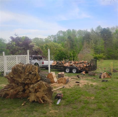 Case Tree Case Tree Added A New Photo