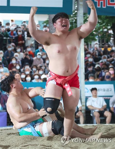 강릉단오장사씨름대회 백두장사 등극한 김민재 연합뉴스