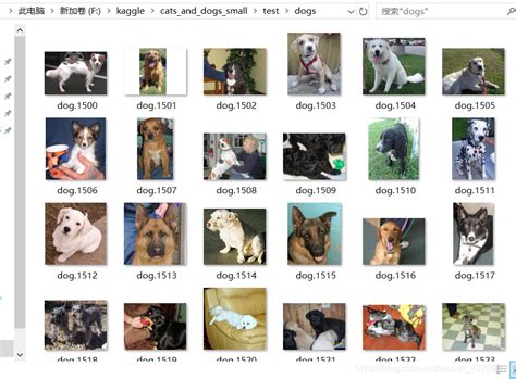 猫狗数据集的两阶段分类 猫狗二分类器实验报告 csdn博客