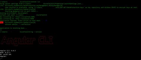 Unknown Option Extractcss In Aspnetcore Angular 60 Spa