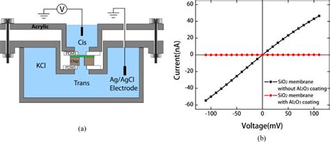 A Schematic Cross Section Of The Experimental Setup The CMOS Chip Download Scientific