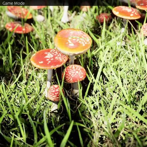 Anand Stephen En Linkedin Unrealengine Pathtracing Gamedev Quixel