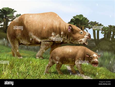 Toxodon Extinct Mammal Artwork Of Toxodon Toxodon Platensis A Large Hoofed Mammal That Toxodon Extinct Mammal Artwork Of Toxodon Toxodon Platensis A Large Hoofed Mammal That