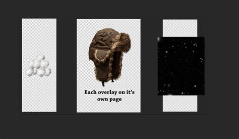 Real Snow Winter Photoshop Overlays Falling Snow Png Etsy