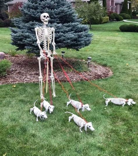 30 Skeleton Halloween Decoration Ideas For Outdoors