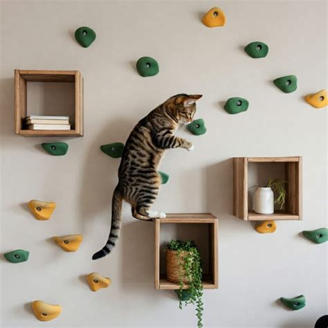 DIY Cat Climbing Wall Ideas Easy Fun Projects