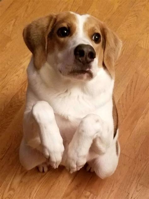 Born With No Neck
