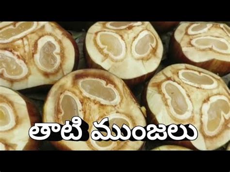 Summer Fruit సమ్మర్ స్పెషల్ హెల్దీ ఫ్రూట్ తాటి ముంజులు Munji Kayalu
