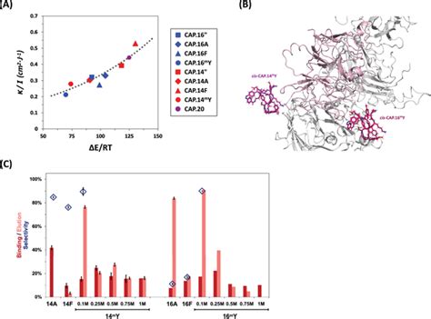 A Correlation Of Cap Photo‐isomerization Kinetics κ I And Energetics