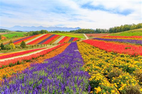 5 Day Hokkaido Itinerary Japan Wonder Travel Blog