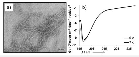 Figure 3 From Inhibition Of Peptide Aggregation By Means Of Enzymatic