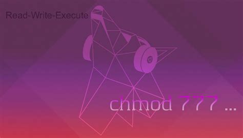 Linux File Permissions And Permissions Read Write Execute 🏆