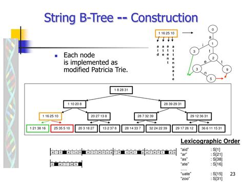 Ppt Indexing Biological Sequence Data Powerpoint Presentation Free Download Id 4260455