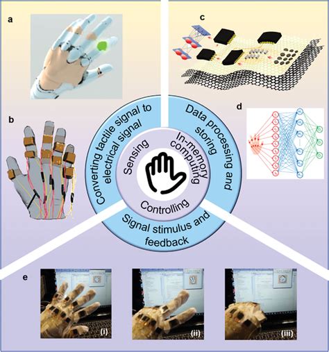 Schematic Of Sensing Processing And Controlling Flow In Tactile Download Scientific Diagram