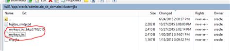 Manish Kumar Gupta Import Certificate Into Existing Jks File For One Way Ssl Communication