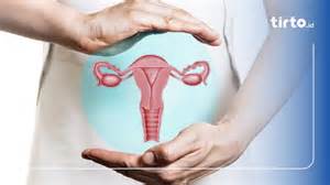 Apa Fungsi Ovarium Pada Sistem Reproduksi Wanita