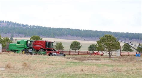 Хүнсний ногооны үрийн үнийг 80 хувь хөнгөлж ногоочдод олгож байна