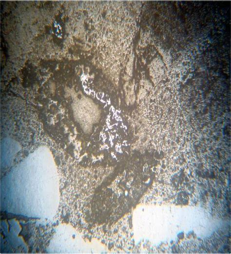Photomicrograph Of Polished Surface Showing The Perlitic Rhyolites A Download Scientific