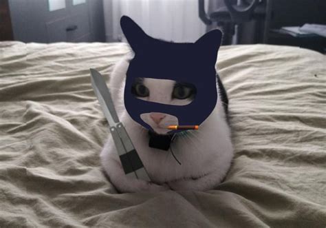I Made My Cat As Tf2 Characters Rtf2