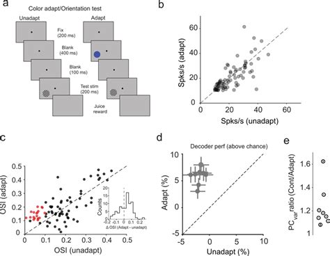 Cross Feature Color Adaptation Effects A Schematic Description Of