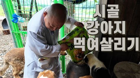 나야 개사료 구독자님 감사합니다 Youtube