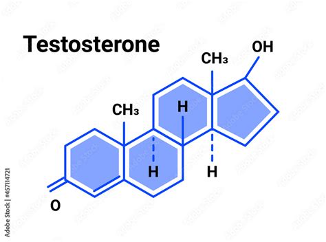 Structure Of Testosterone