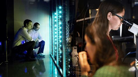 Ten Universities In Sweden Join Forces For National Postdoc Program Scilifelab