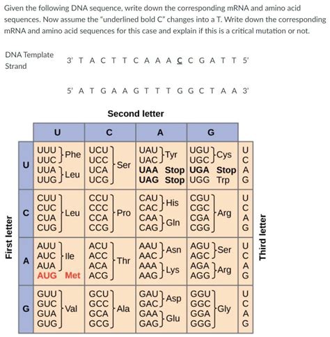 Solved Given the following DNA sequence, write down the | Chegg.com