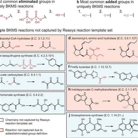 Comparison Of Synthetic And Enzymatic Reaction Sets Most Commonly A Download Scientific