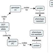 Average Midterm And Final Models Babes Increased Their Correctness Download Scientific