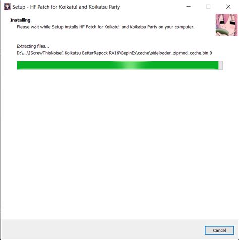 HF Patch Installation Stuck On Extracting Sideloader Zipmod Cache Issue ManlyMarco