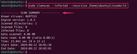 Install Configure And Scan For Viruses On Linux With Clamav