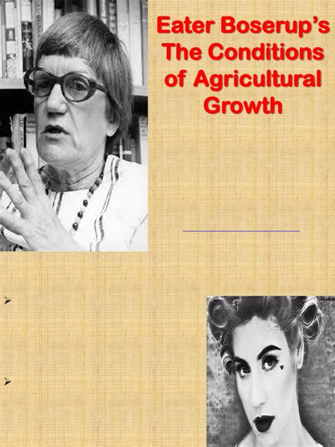 11 Esner Boserup Theory Pdf Crop Rotation Agriculture