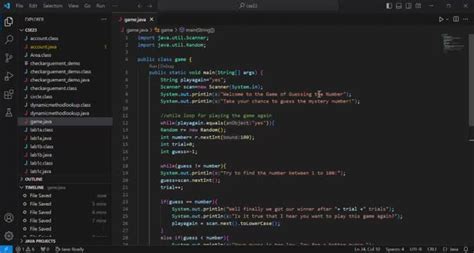 Aryan Mohanty On Linkedin Java Codingtriumph Guessinggame