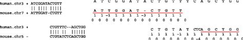 0 The Split Alignment Algorithm Left Input To The Algorithm Two