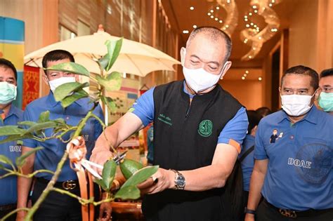 กรมส่งเสริมการเกษตรประกาศผลสำเร็จปี65 พร้อมรับความท้าทายในงานส่งเสริมการเกษตรปีหน้า เรื่องเล่า