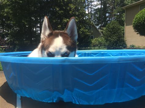 Tf2s Biggest Loser Hes My Bf Rtf2