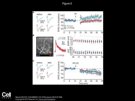 Volume Issue Pages August Ppt Download