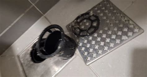 집상태에따라 추가요금이 붙긴했지만 작업 전 후로 꼼꼼하게 진행사항 체크해주시고 작업후에도 요청사항에대해 친절하게 응대해주셔서 만족스러웠습니다~ 숨고 숨은고수